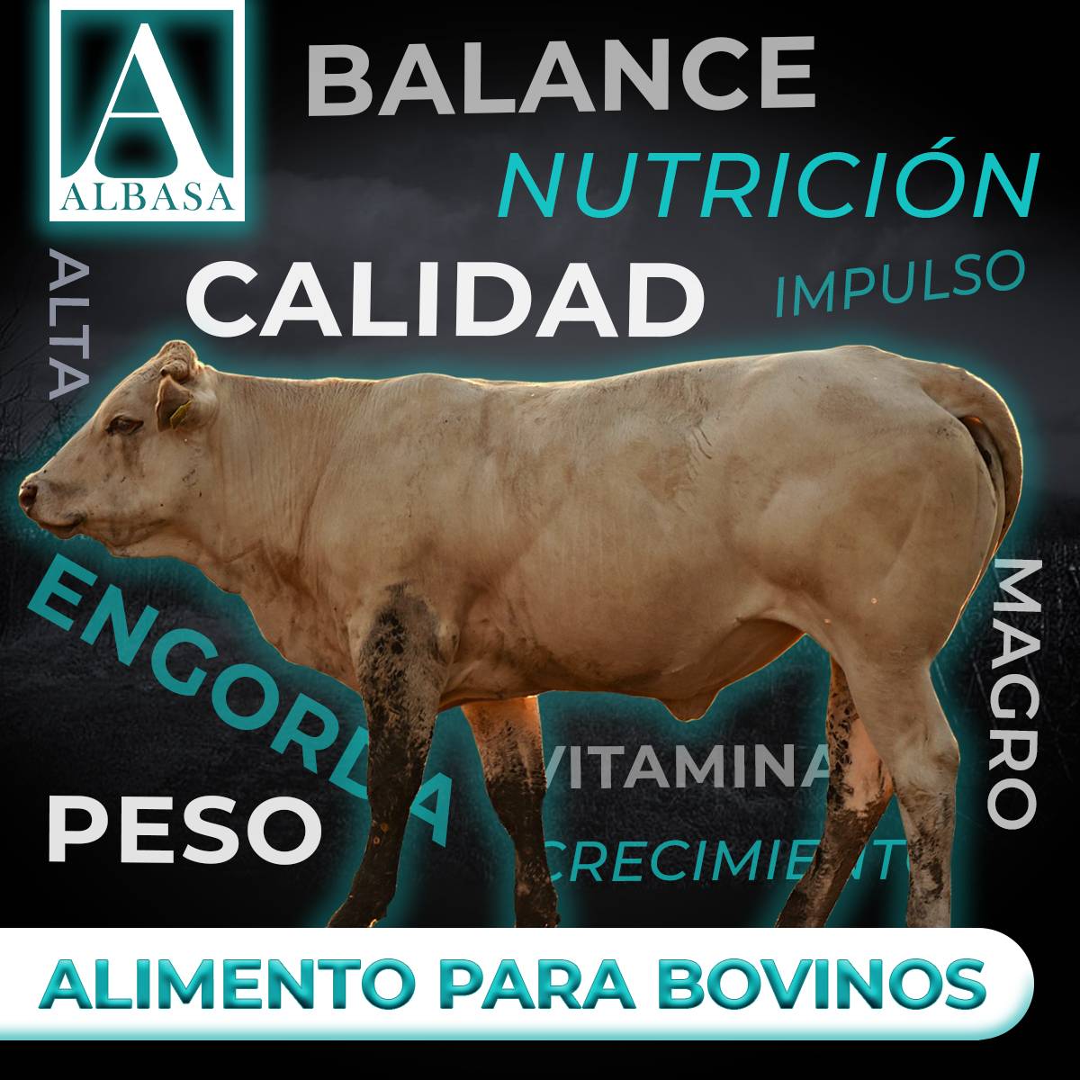 Bovinos - ALBASA
