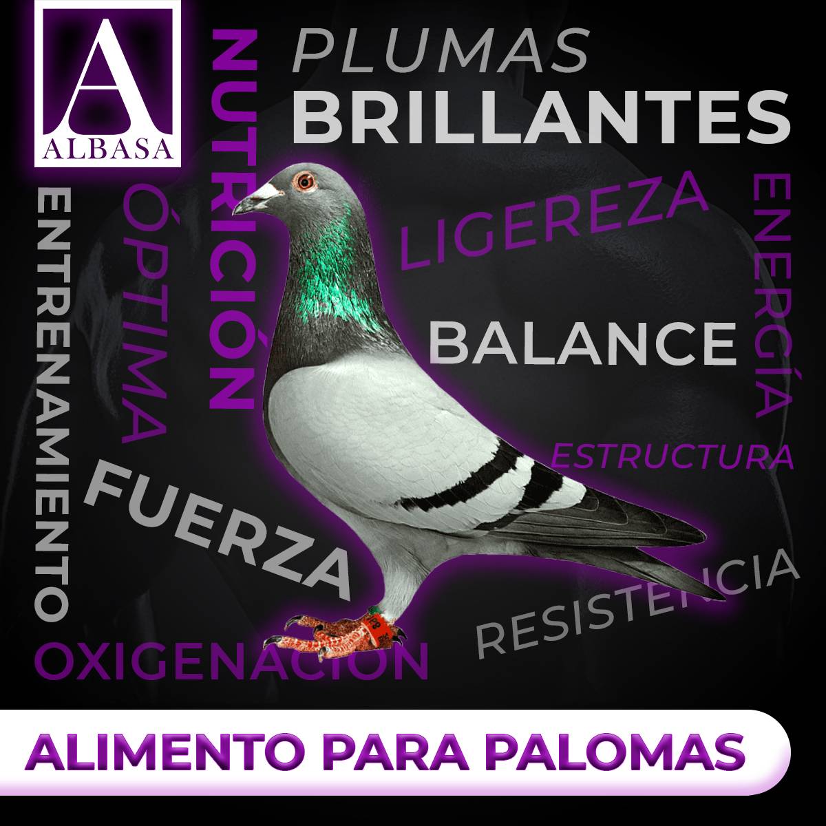 Palomos - ALBASA